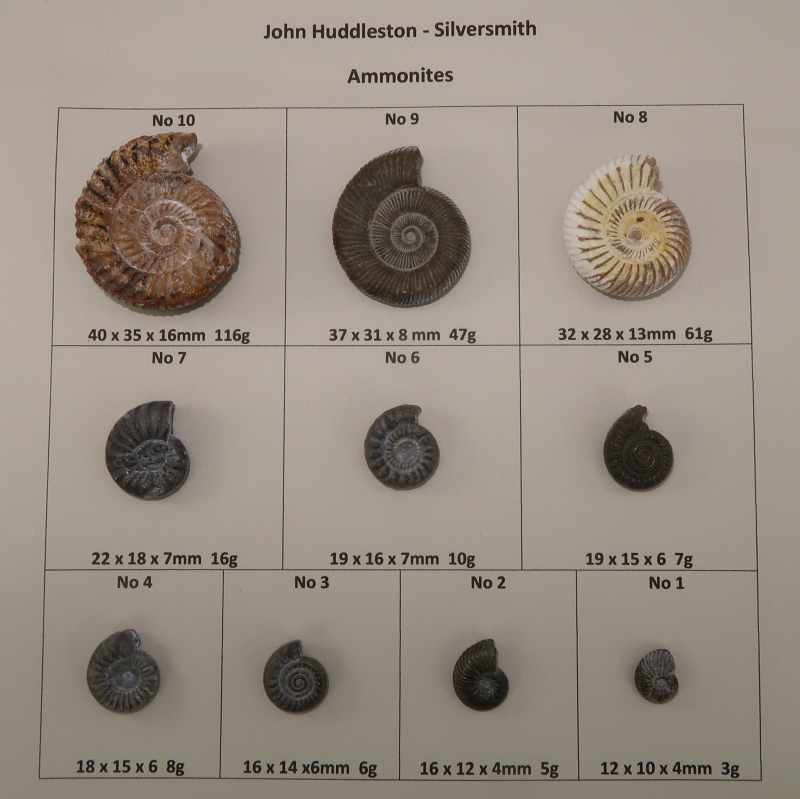 Solid silver ammonites by John Huddleston - Silversmith